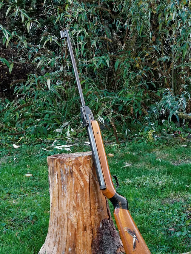 Jenis Senapan Angin Secara Umum Beserta Kaliber dan Proyektilnya - Hot ...