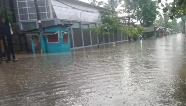 Daftar Lengkap 580 Caleg DPR Terpilih Periode 2024-2029 - News Liputan6.com