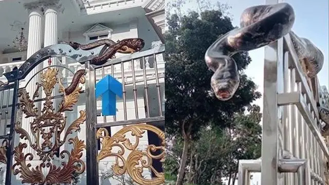 6 Potret Rumah Mewah di Garut yang Dijaga Ular Besar di Pagarnya - Hot ...