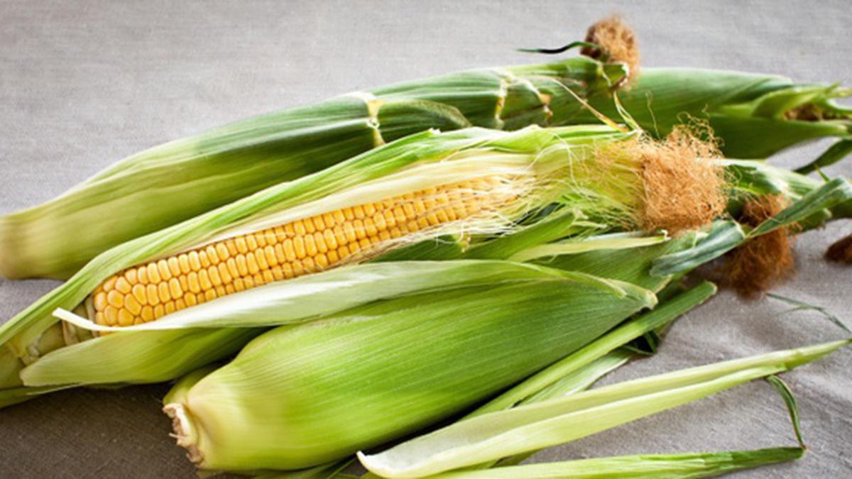 Ladies, Inilah Manfaat Mengagumkan Rambut Jagung Untuk Kesehatan ...