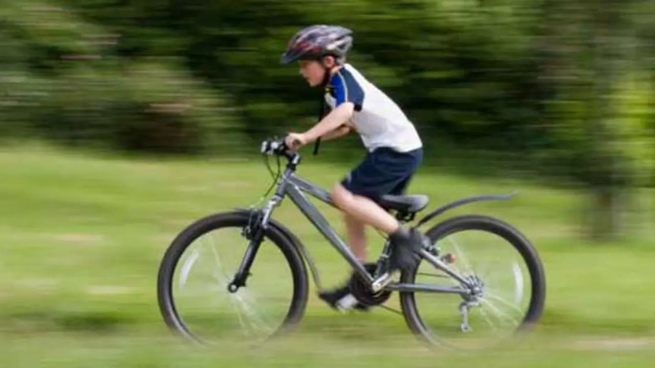 Daftar Harga Sepeda Polygon Terbaru 2021, Dari yang Murah Hingga yang ...