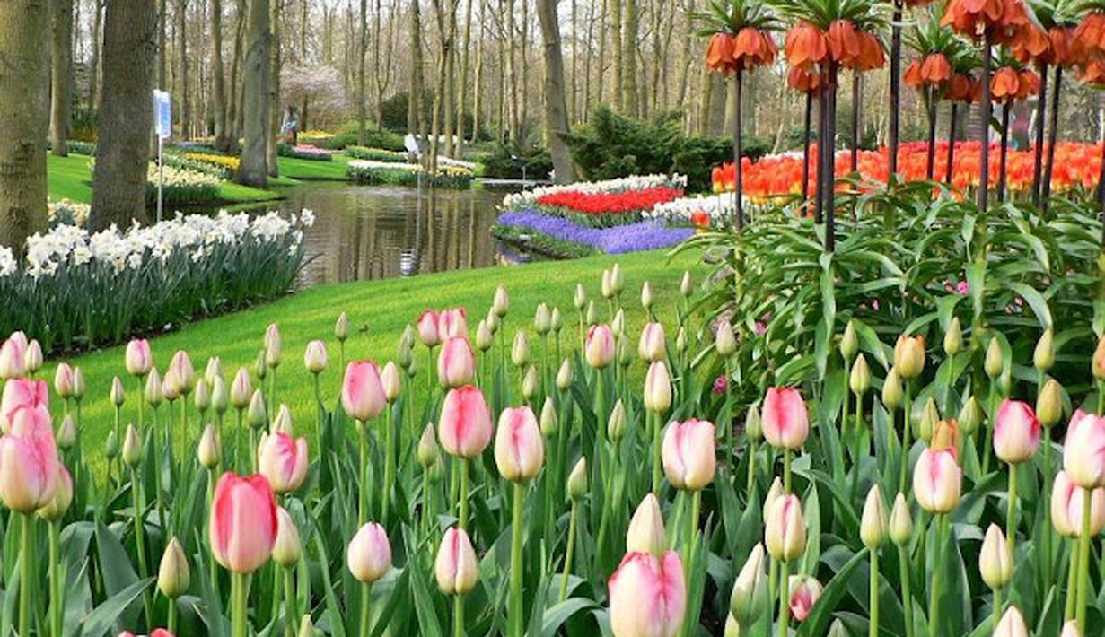 Pesona Taman Bunga Keukenhof "The River of Flowers" - Photo Fimela.com