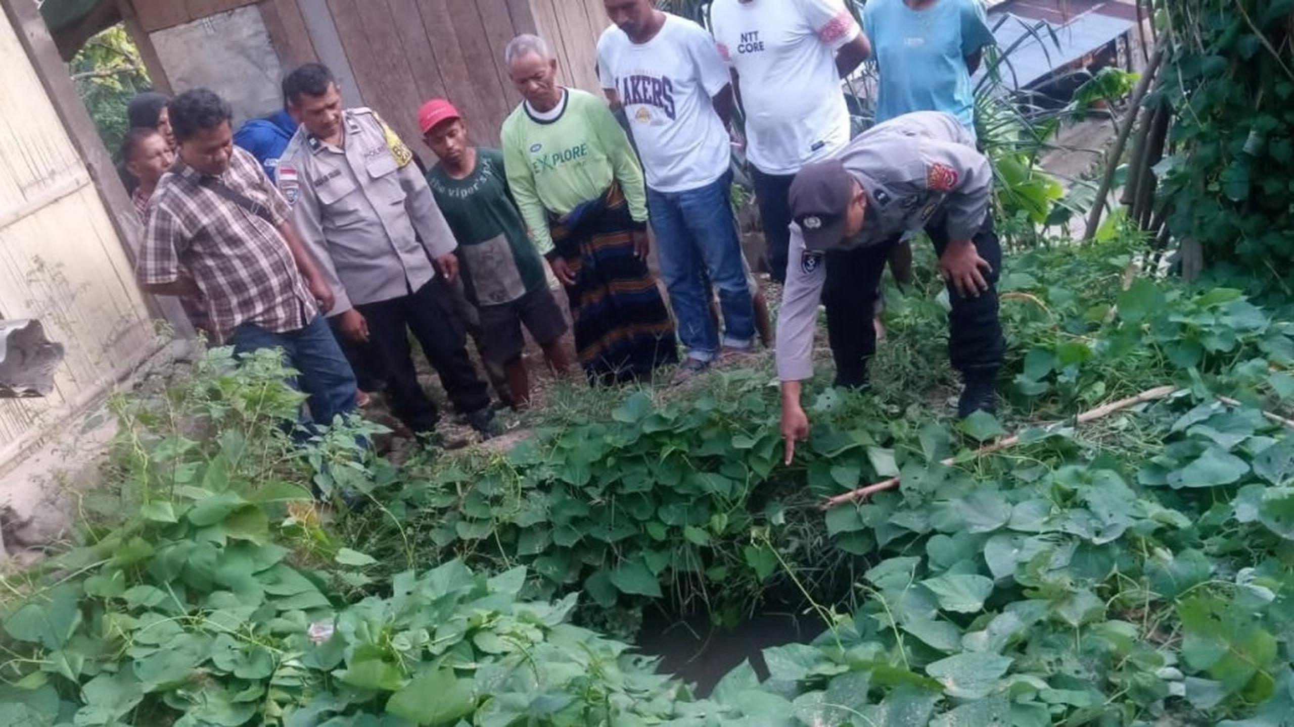 Balita di NTT Tewas Usai Jatuh ke Lubang Jamban: Ditinggal Kakeknya ...