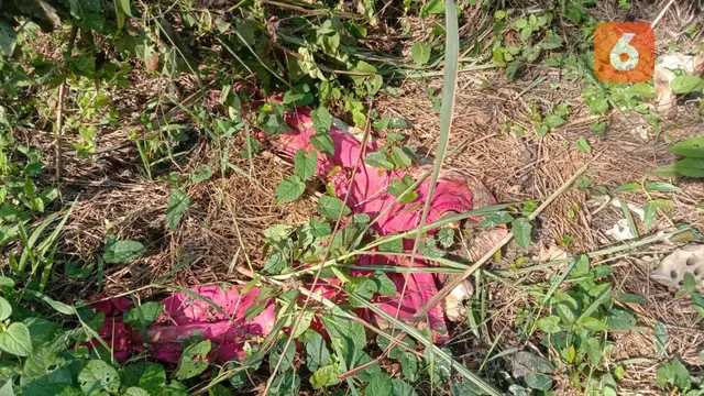 Geger, Warga Temukan Tulang Kerangka Manusia di Lahan Kosong Sukabumi - Regional Liputan6.com