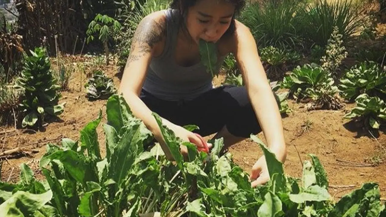 Curi Perhatian Netizen, Ini 7 Potret Cantiknya Chef Renata - Citizen6 ...