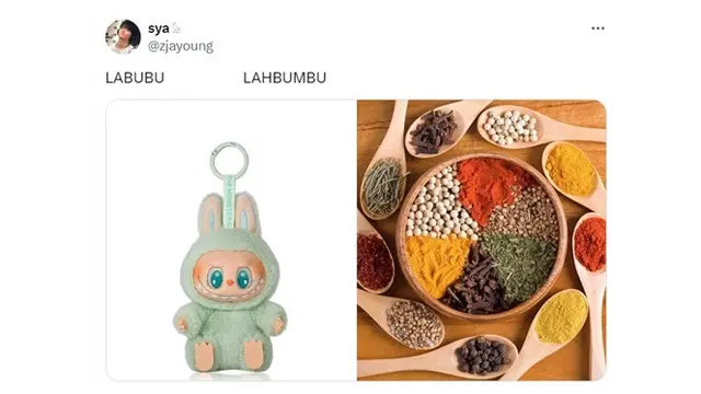 6 Pelesetan Nama Boneka Labubu Ini Kocak, Viral karena Lisa Blackpink ...