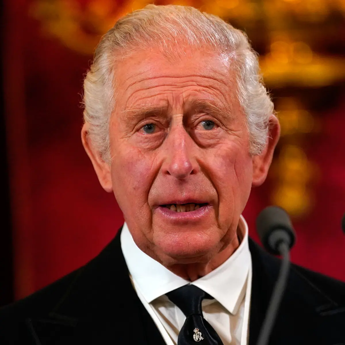 Charles Baca's Instagram, Twitter & Facebook on IDCrawl