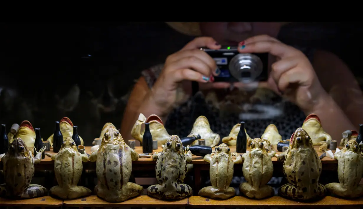Unik, Museum ini Menggambarkan bila Katak Jadi Manusia - Foto Liputan6.com