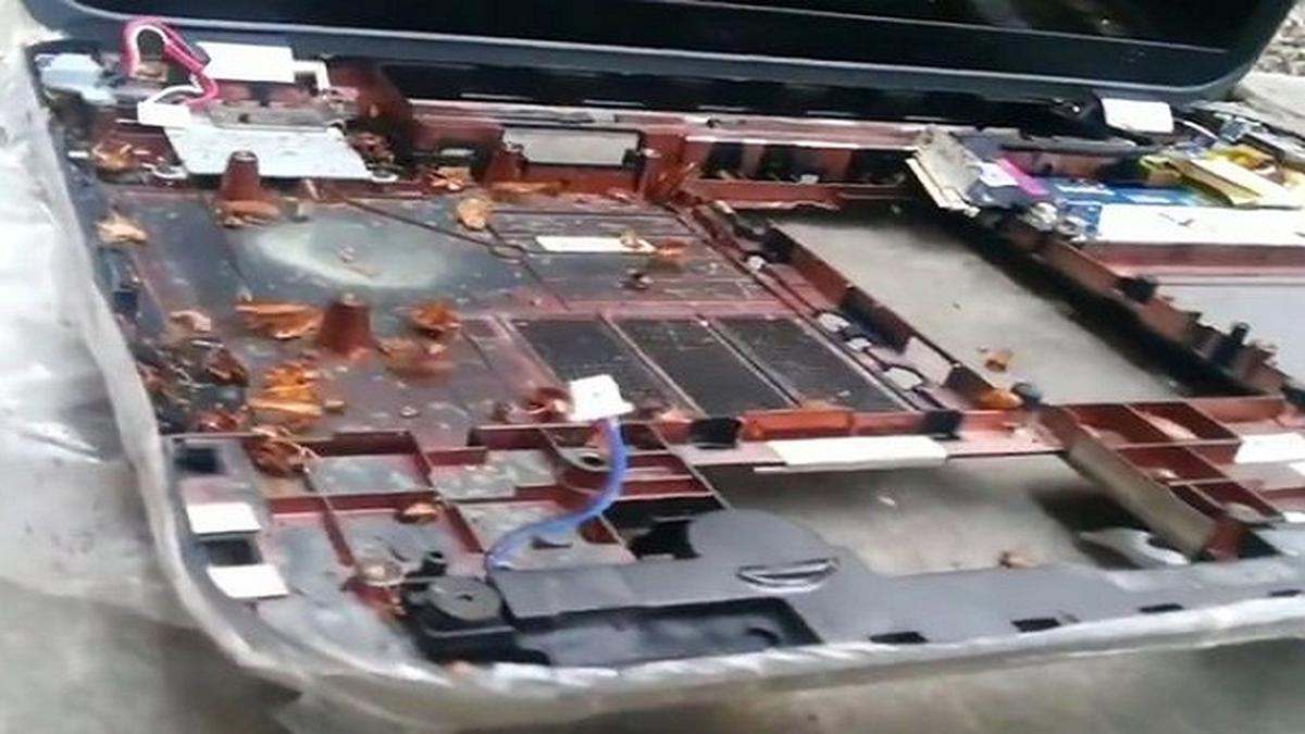 Puluhan Kecoak Ditemukan Bersarang di Laptop - Tekno Liputan6.com