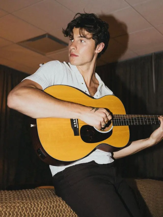 Shawn Mendes, Fakta di Balik Popularitas Karier hingga Pengakuan ...