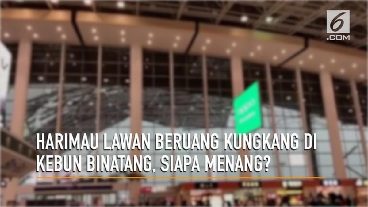 VIDEO: Viral, Rekaman Atap Bandara Roboh - Global Liputan6.com
