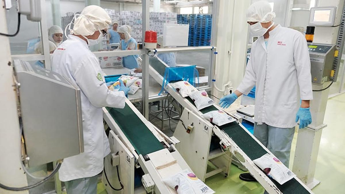 Produsen Makanan Ringan Singkong Indonesia Mendunia, Tembus Pasar ...