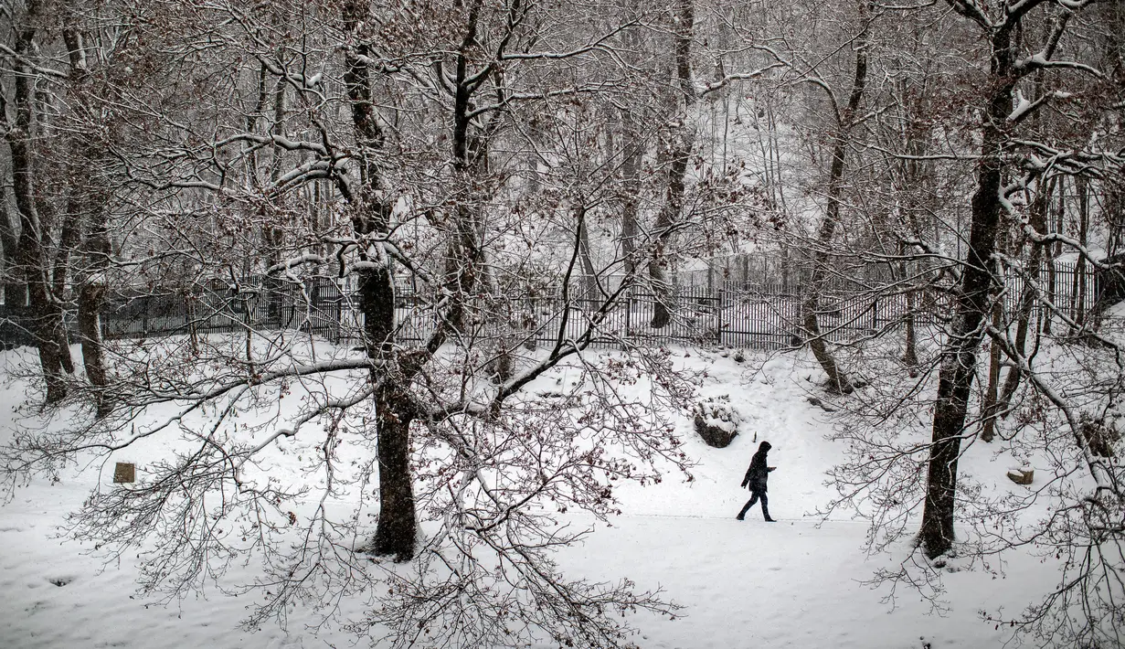 Hujan Salju Lebat Selimuti Lithuania - Foto Liputan6.com