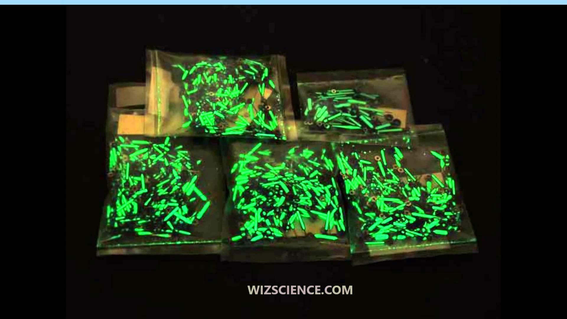 Ada di Sekitar Kita, 3 Warna Ini Sebenarnya Bahaya dan Mematikan ...