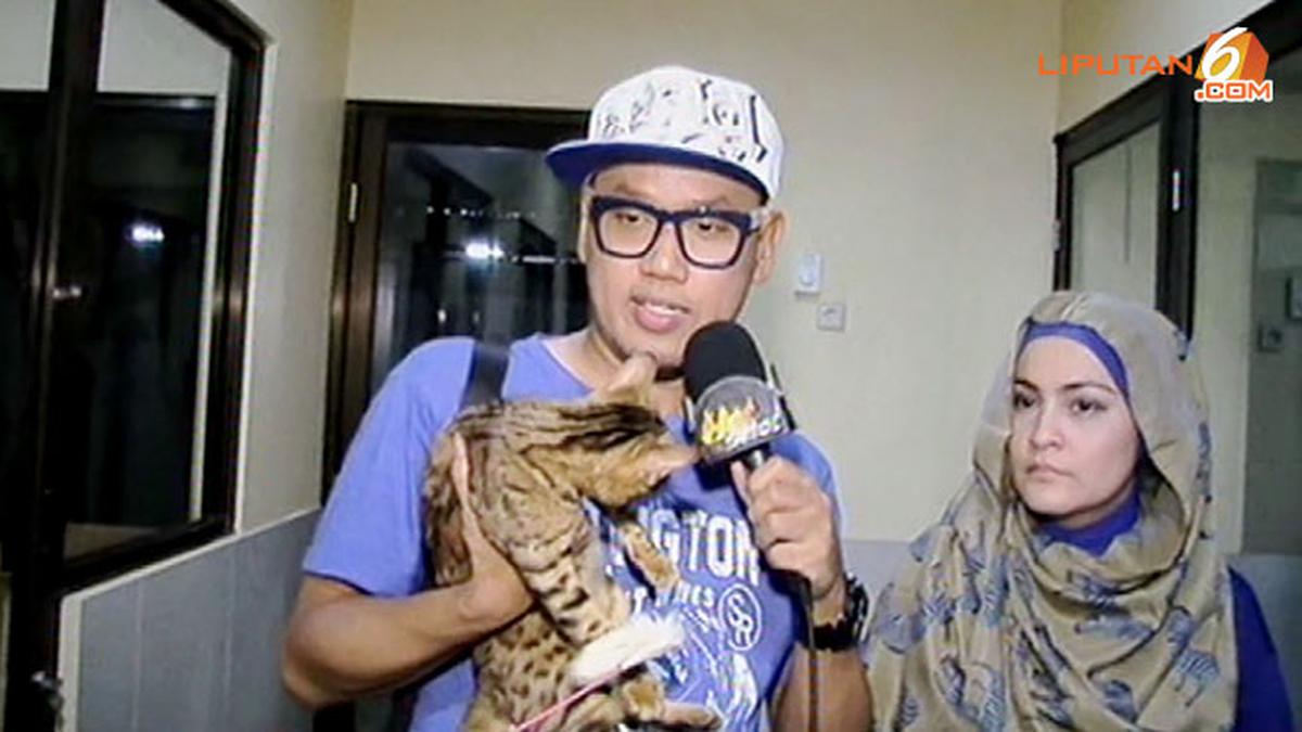 VIDEO: Wow, Uya Kuya Beli Kucing Seharga Rp 25 Juta! - ShowBiz Liputan6.com