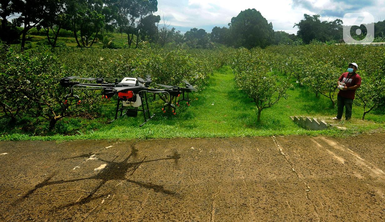 IPB Kembangkan Drone Penyemprot Pupuk untuk Tingkatkan Produksi ...