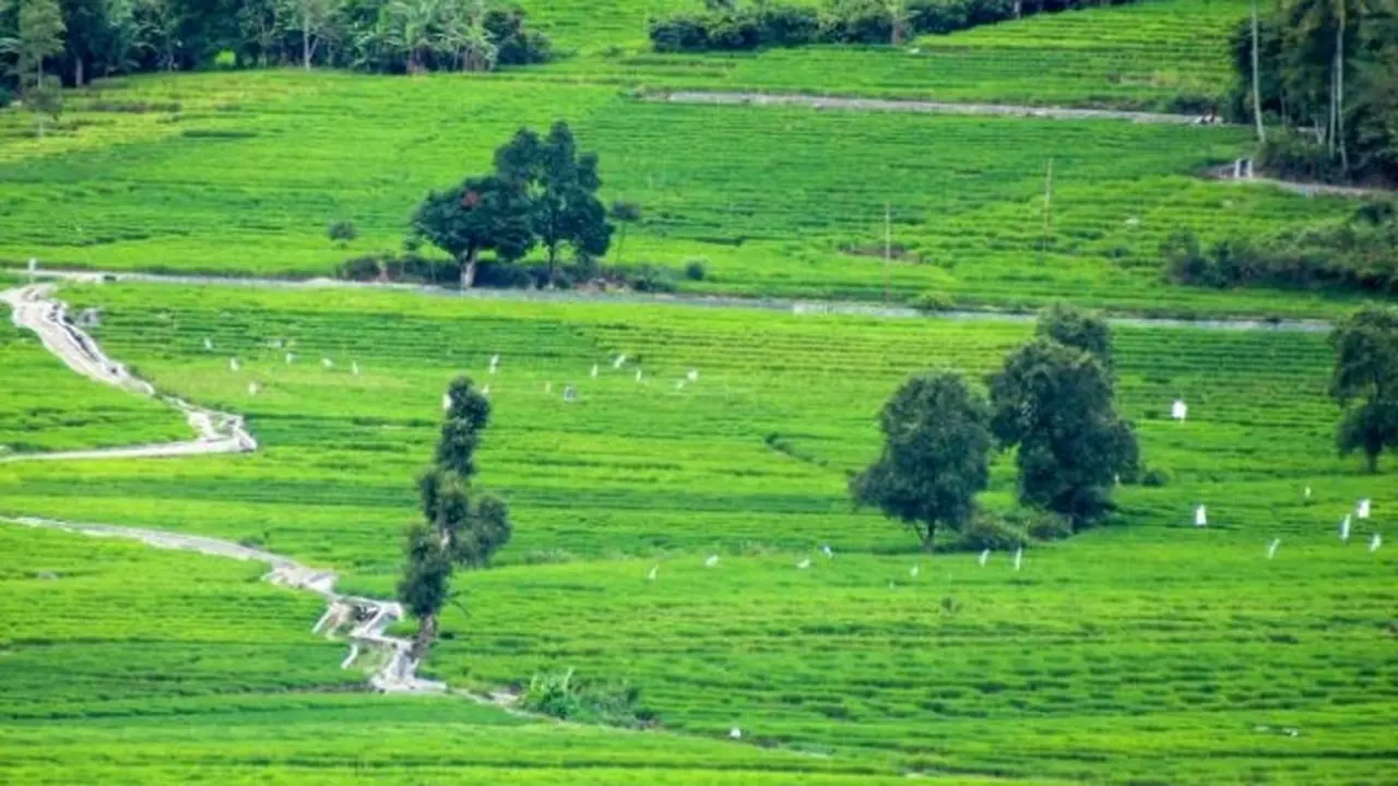 Pesona Alam Desa Wisata Tipang di Tepi Danau Toba - Lifestyle Liputan6.com