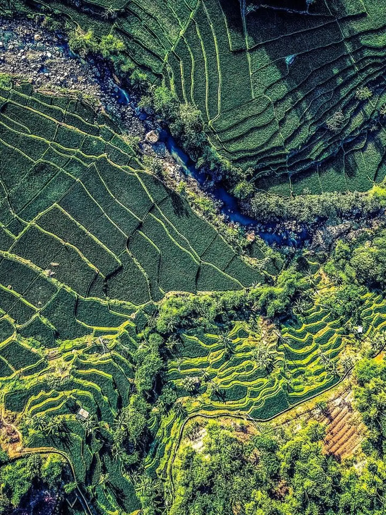 Mengenal Macam-Macam Ekosistem dan Contohnya, dari Alami hingga Buatan ...