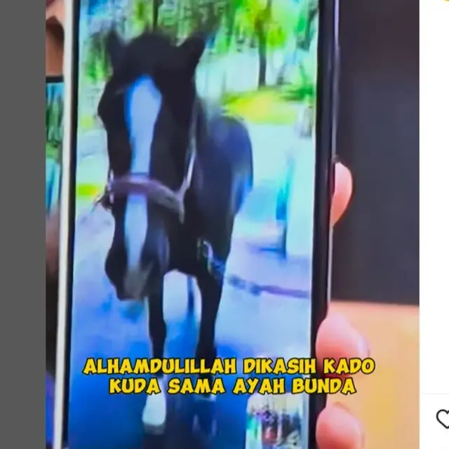 Irfan Hakim Beri Kuda Poni untuk Kado Ulang Tahun ke-10 Putranya, Harganya Ratusan Juta Rupiah ...