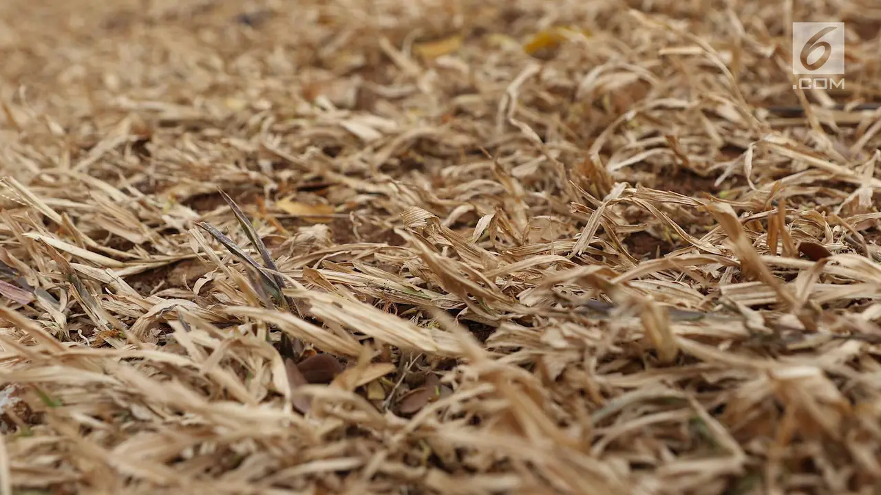 10 Cara Menyalakan Api Tanpa Korek, Berguna Saat Keadaan Darurat - Hot ...