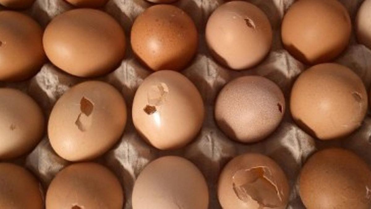 Hati-Hati dengan Telur Berkulit Retak - Health Liputan6.com