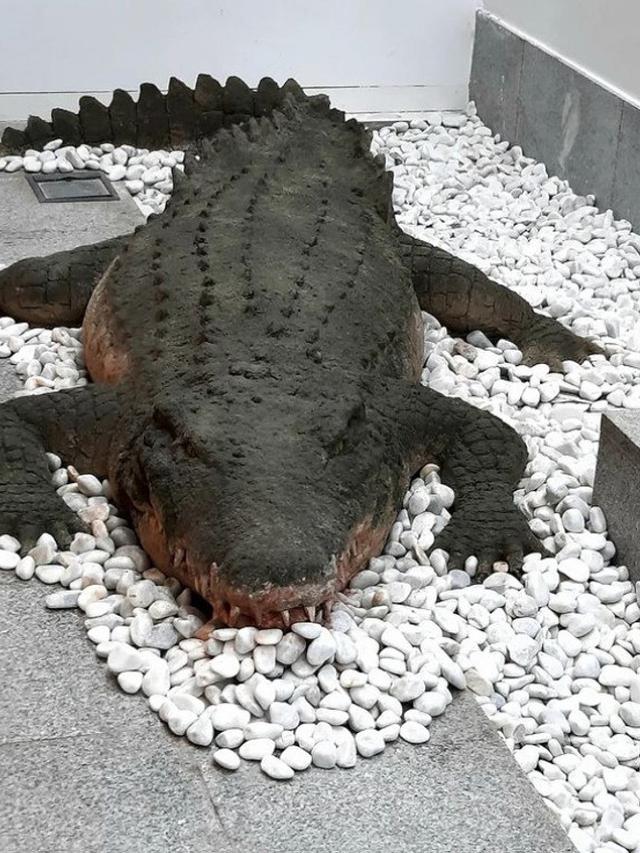 Tampak Realistik, 9 Karya Seni dari Pasir Ini Bikin Kagum