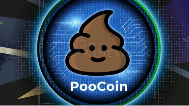 Lihat Lebih Dekat PooCoin dan Pergerakan Harganya Hari Ini? - Crypto ...
