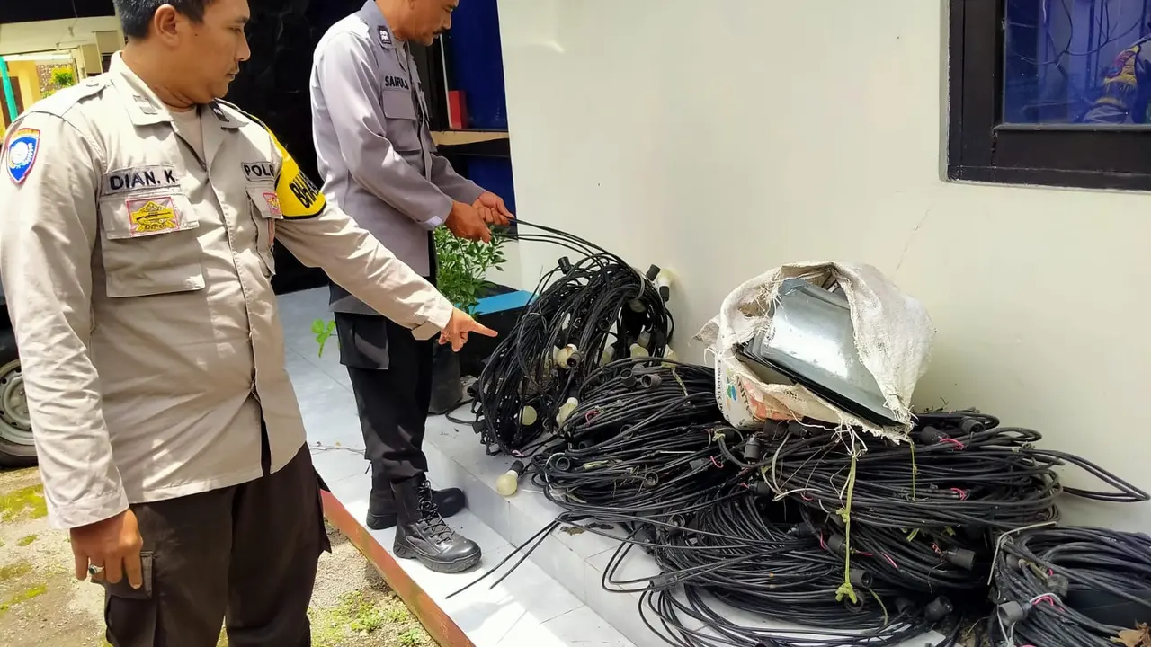 Maling Kabel Bikin Resah Petani Buah Naga di Banyuwangi - Surabaya ...