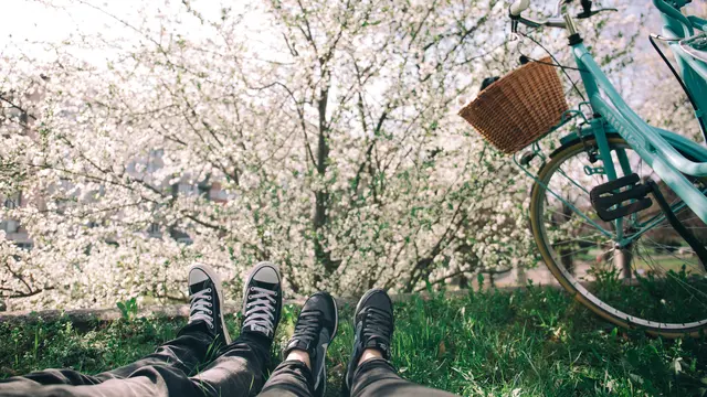 Apa Itu HTS? Memahami Makna dan Cara Menghindarinya dalam Hubungan ...