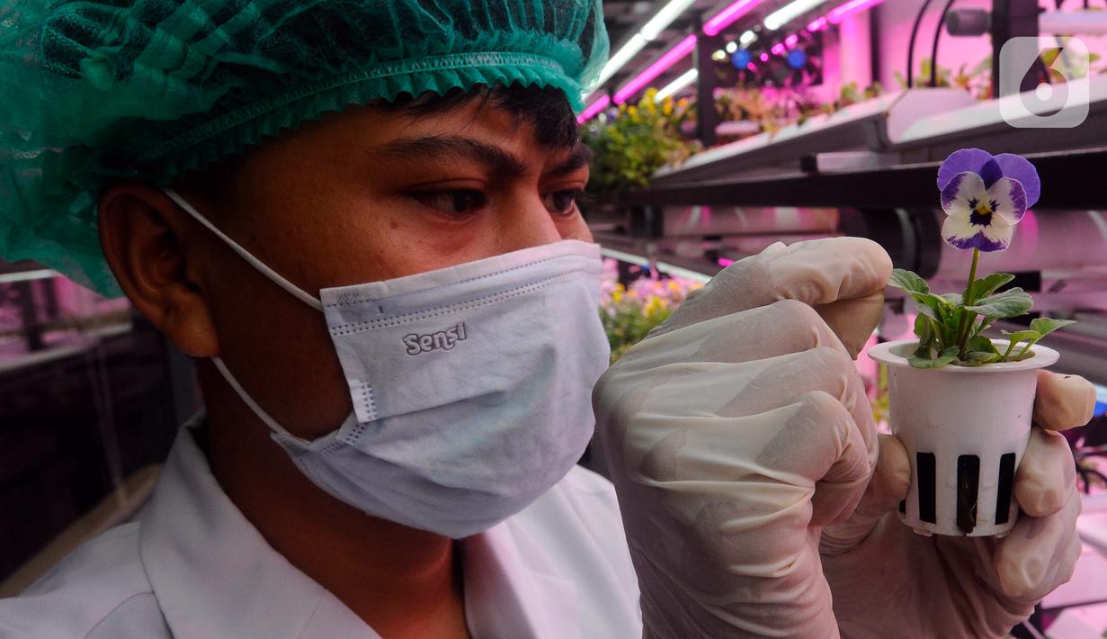 Unik, Kafe di Tangerang Selatan Hadirkan Pertanian Dalam Ruangan - Foto ...