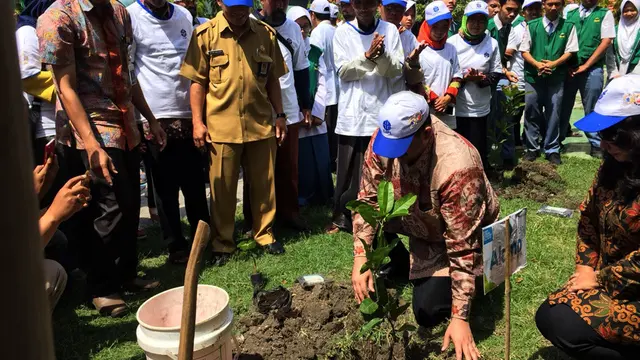 Anggur Probolinggo Terancam Punah, LIPI Turun Tangan - Regional ...