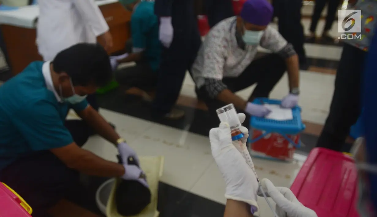 FOTO: Cegah Perkembangbiakan, 75 Kucing Peliharaan Dikebiri - Foto ...