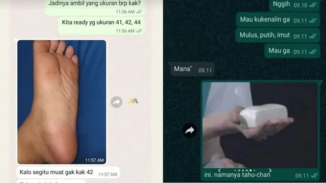 6 Balasan Chat Pakai Gambar Ini Absurd Banget, Jadi Bingung Jawabnya ...