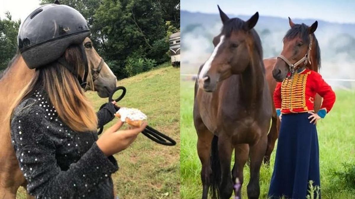 6 Ilusi Optik Kuda Ini Bikin Mikir Keras, Auto Kucek Mata - Hot ...