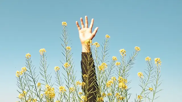 Pengertian Estetika beserta Unsur-Unsurnya - Ragam Bola.com