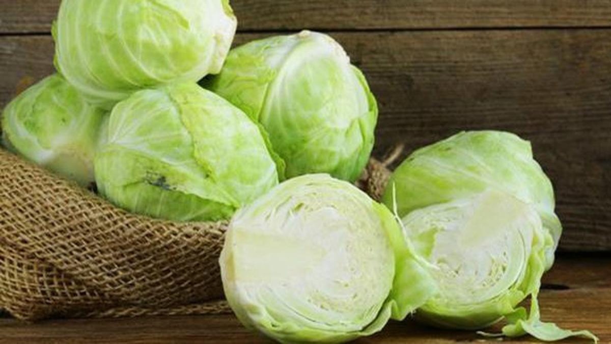 Penting, Berikut Manfaat Kubis yang Perlu Kamu Ketahui - Beauty Fimela.com