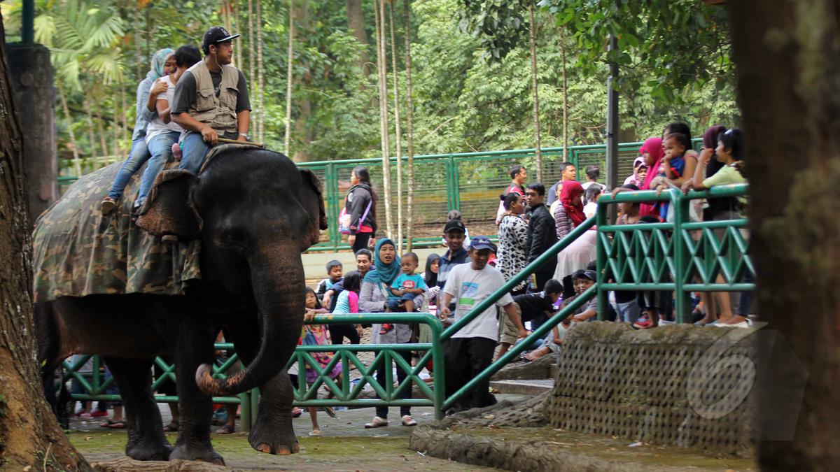 37 Ribu Pengunjung Padati Ragunan - Islami Liputan6.com