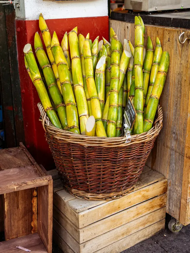 7 Manfaat Tebu yang Jarang Diketahui, Cocok Jadi Minuman Segar di Cuaca ...