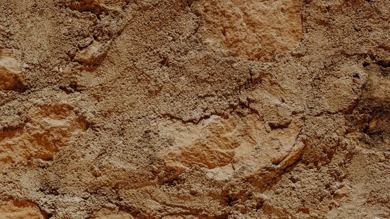 Jangan Bawa Tanah dari Makkah atau Madinah ke Kampung Halaman, Ini ...