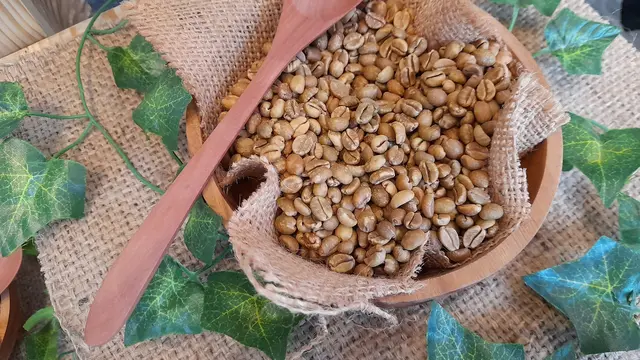 Mengenal Excelsa, Varietas Kopi Indonesia yang Kerap Disangka Robusta ...