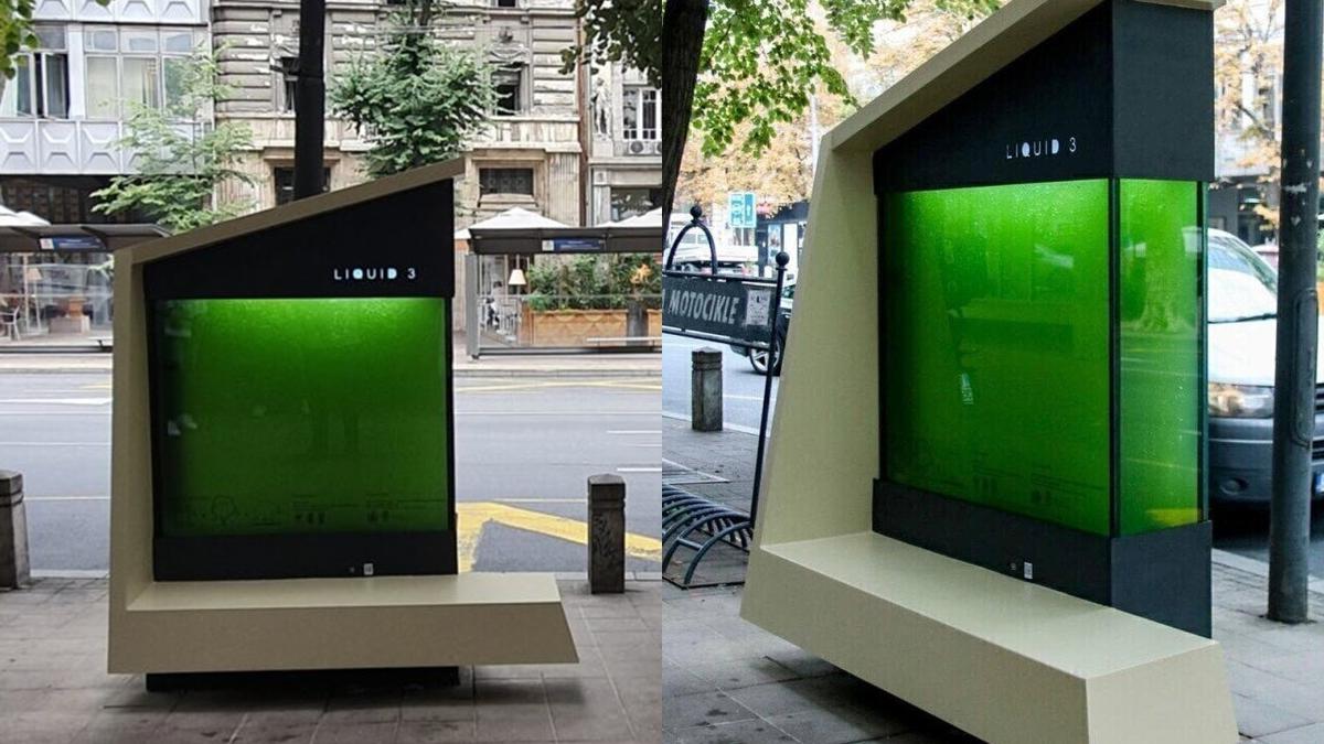 Liquid Tree Inovasi 'Pohon Cair' Unik Serbia Lawan Polusi Udara, Efektif?