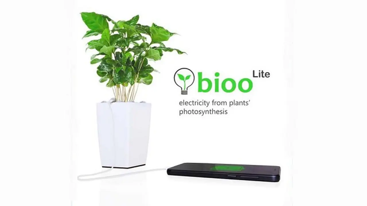 Unik, Pot Tanaman Ini Mampu Isi Daya Ponsel - Tekno Liputan6.com