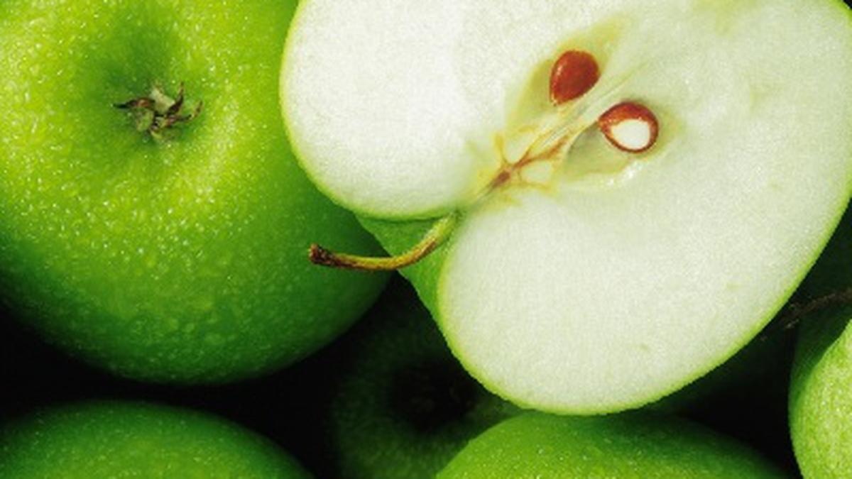 Dahsyatnya Apel Collagen - Health Liputan6.com