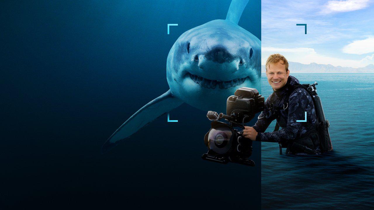 18 Film Disney Terbaru 2025 Berbagai Genre, Thriller hingga Adaptasi ...