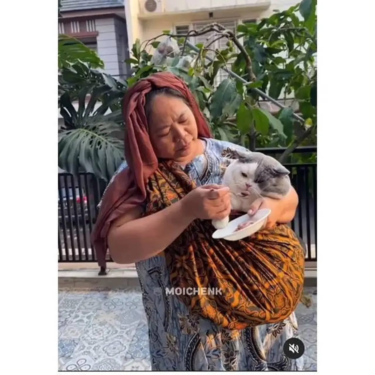 10 Potret Lucu Kucing saat Digendong, Ada yang Dipeluk Hingga Pakai ...