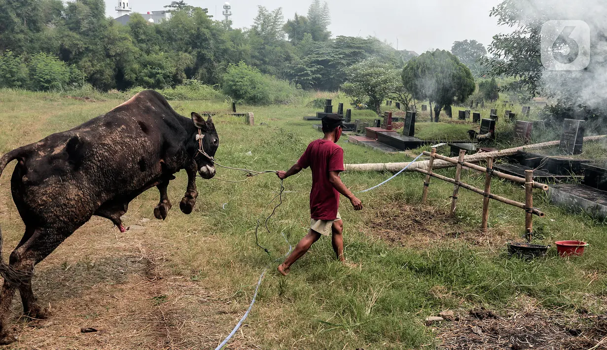 FOTO: Pemakaman Jadi Area Berjualan Hewan Kurban - Foto Liputan6.com