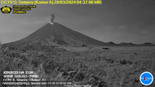 Gunung Semeru Erupsi Lagi, Semburkan Abu Vulkanik Setinggi 800 Meter ke Arah Selatan - Regional ...
