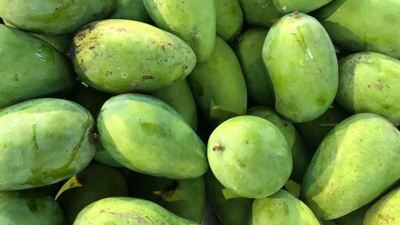 Agar Tak Salah Pilih, Simak Tips Memilih Buah-buahan Segar dan Matang ...