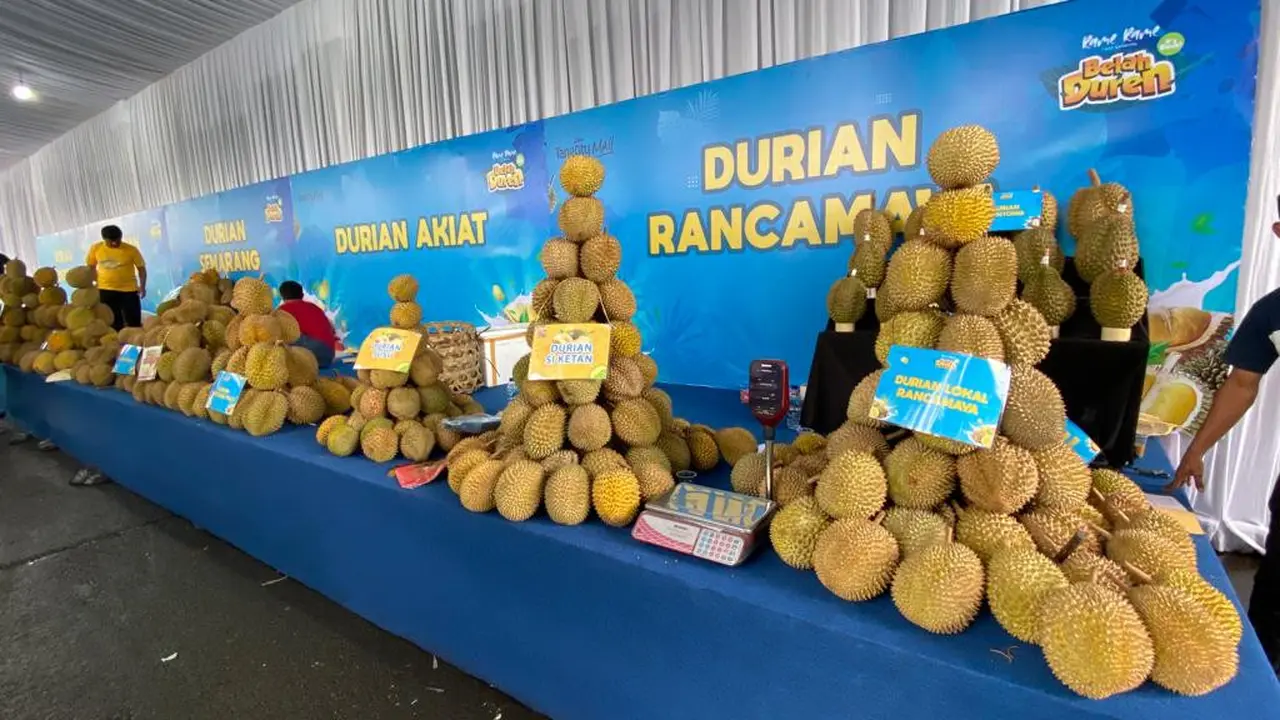 Melihat Keseruan Festival Durian di Tangerang, Beragam Jenis Dihadirkan ...