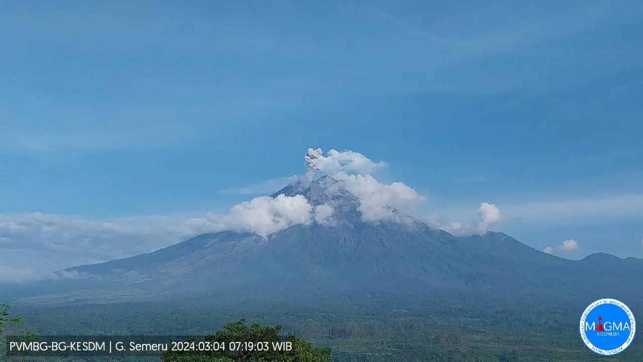 Gunung Semeru Erupsi Lagi, Semburan Abu Vulkanik Capai 800 Meter dari Puncak - Regional Liputan6.com